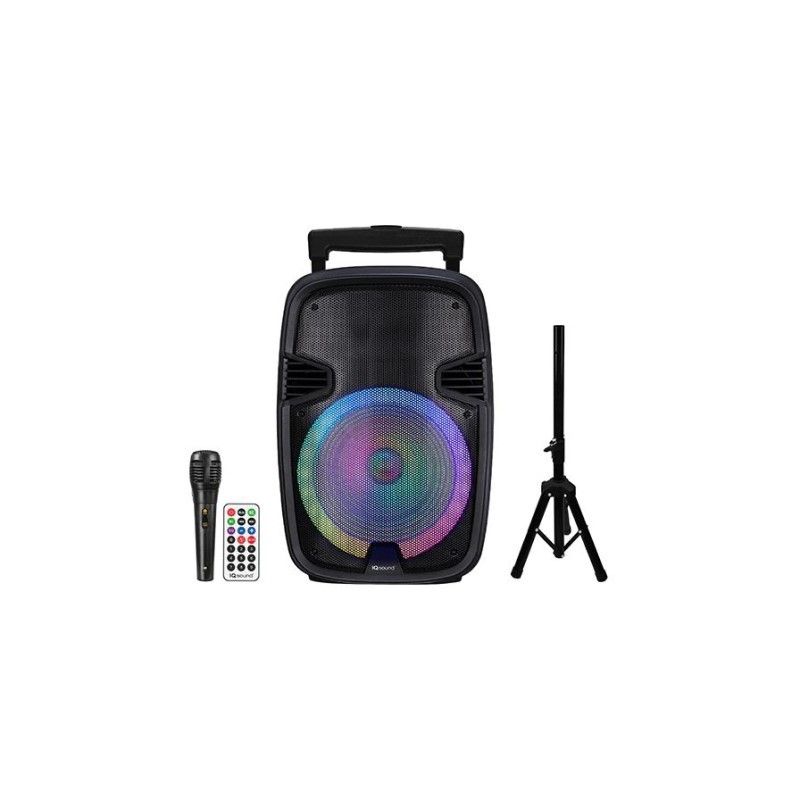 15 Inch Professional Portable Bluetooth Speaker | CJ00000205